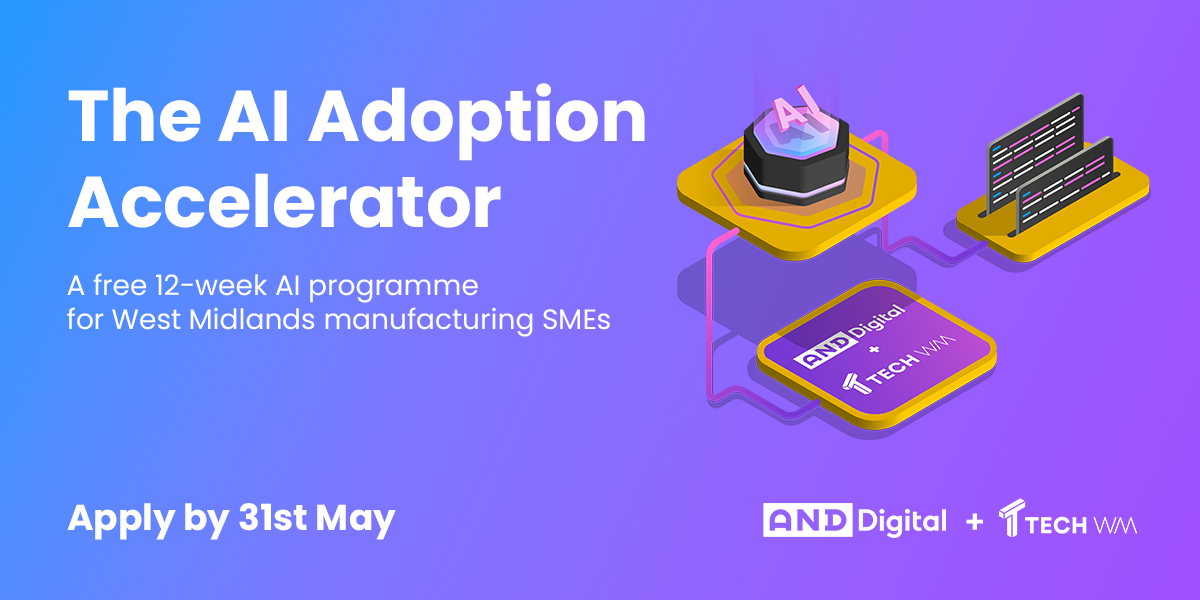 AI adoption accelerator programme